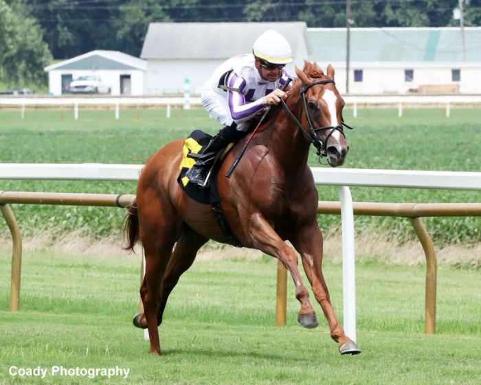 Chiseler Skims Rail To Victory In Dade Park Dash - Paulick Report ...