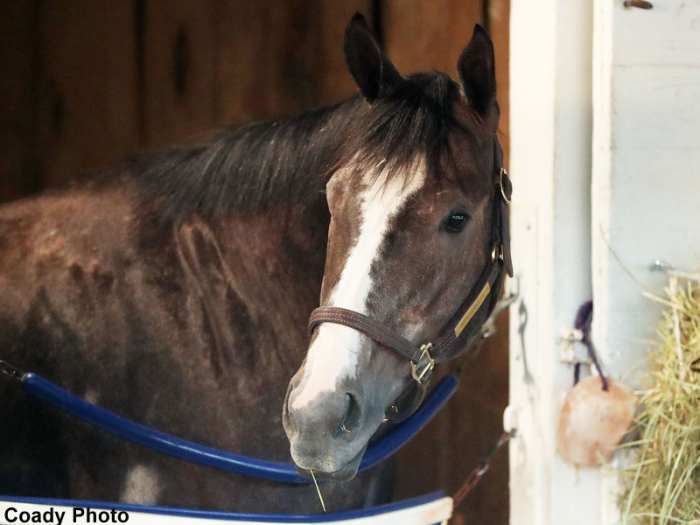 Pennsylvania Derby: Baffert Relishing Favorite’s Role With ‘Moby Dick ...