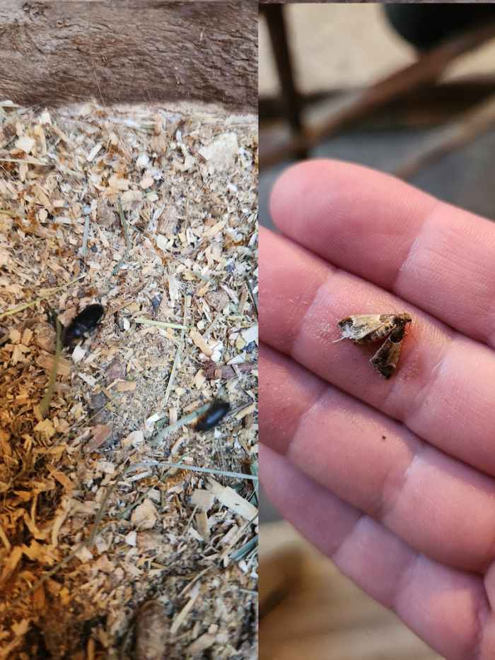 University Of Minnesota's Ask The Expert: Do I Need To Worry About ...