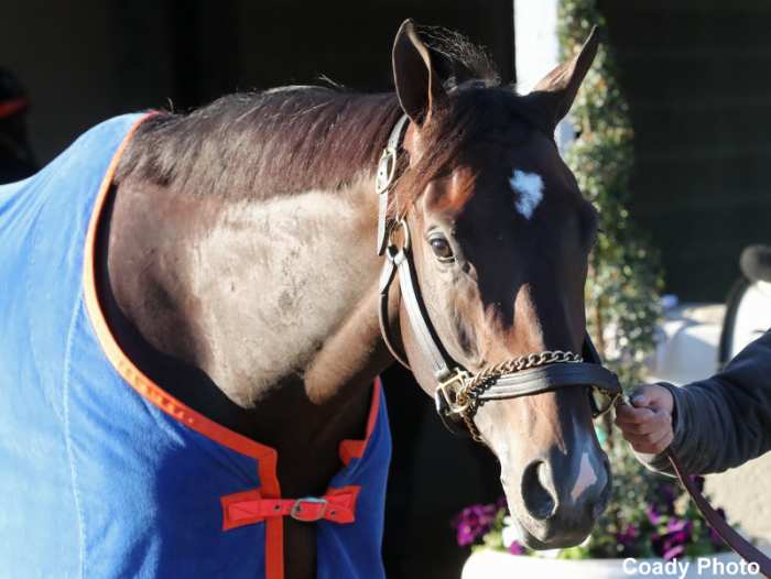 They Said, They Said: Gaming Commission, Team Forte Dispute Timeline Of ...