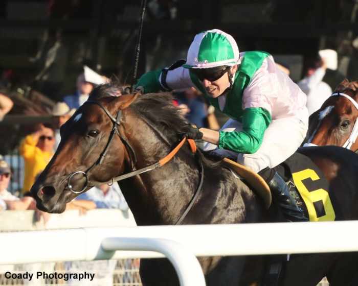 KY-Bred Import Ancient Rome Strikes For First U.S. Win In Mint Millions ...