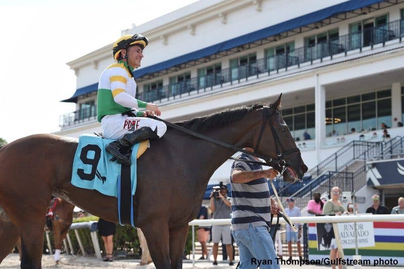 Jockeys Of The Week: Career Milestones Lead To Tie Between Tyler ...