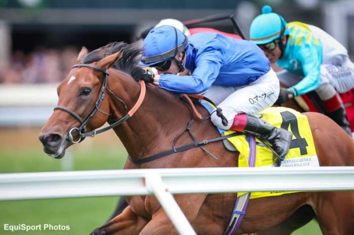 'A Very Special Filly': Global G1 Winner Mawj Retired - Paulick Report ...