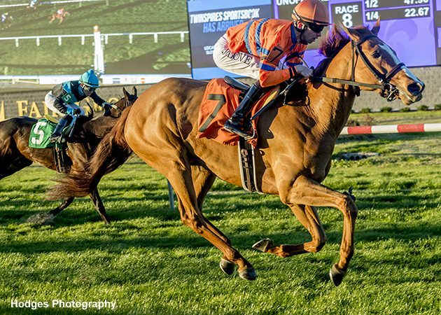 Illinois-Bred Oeuvre Posts Third Consecutive Stakes Win With Nelson J ...