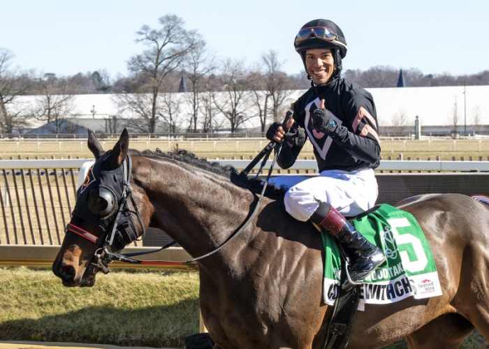 Coffeewithchris Joins Preakness Field; Chase The Chaos Prepares To Ship ...