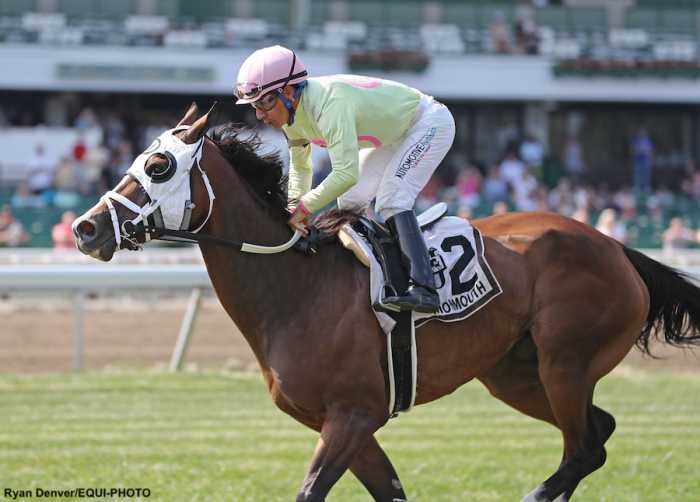 Bramble Bay Named New Jersey's 2022 Horse Of The Year - Paulick Report ...