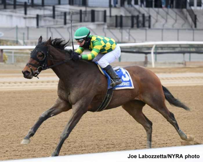 'We'll Have To Bring Our 'A' Game': Repo Rocks Ready To Join Elite ...