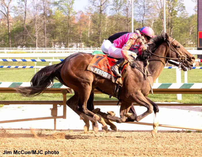 Perform Up In Time To Take Federico Tesio At Laurel - Paulick Report ...