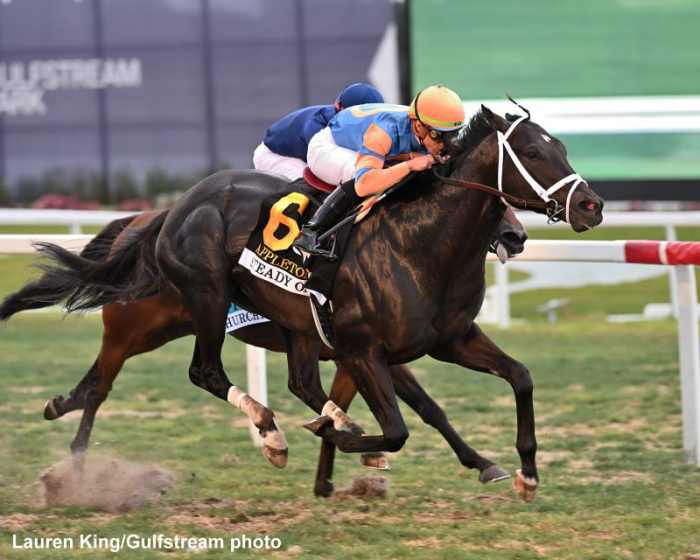 'It's Been An Incredible Afternoon': Steady On Caps Six-Win Day For ...