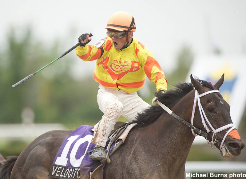 'Bittersweet': Jockey Justin Stein Retires (Again) - Paulick Report ...