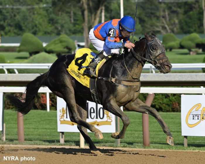 'Dream Come True': Cal-Bred Yo Yo Candy Strikes In Sanford At 46-1 Odds ...