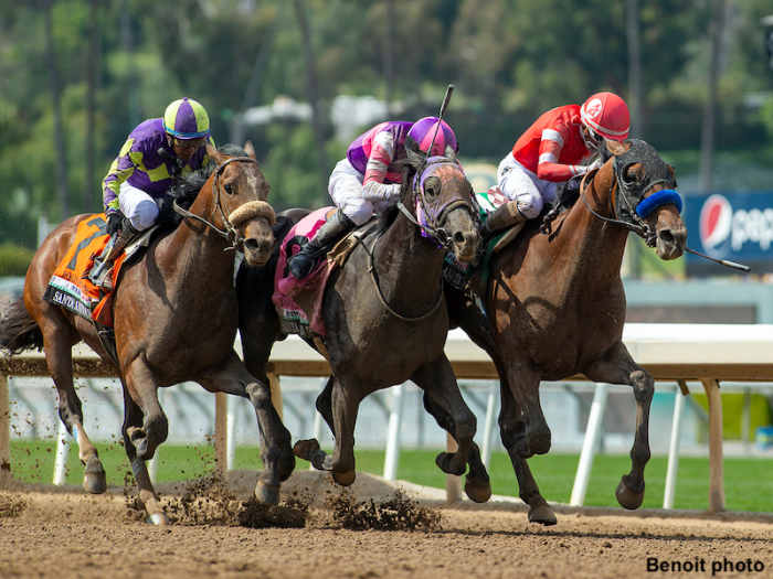 Shirreffs: Skinner 'In Beast Mode' On Eve Of Native Diver - Paulick ...