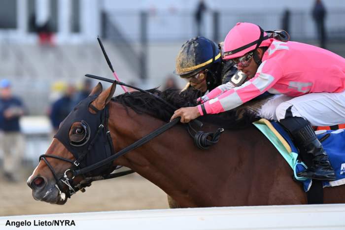 Tenacious Remsen Winner Dornoch Has Gargan Derby Dreaming - Paulick ...