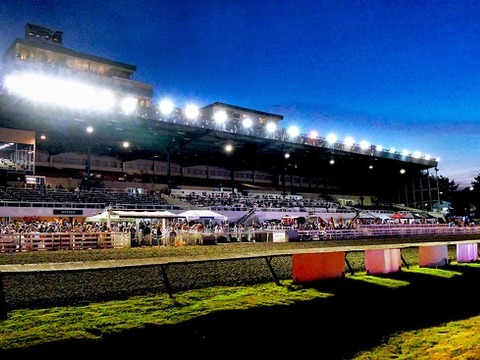 Hastings Racecourse Plans 15 Friday Night Race Dates In 2024 - Paulick ...