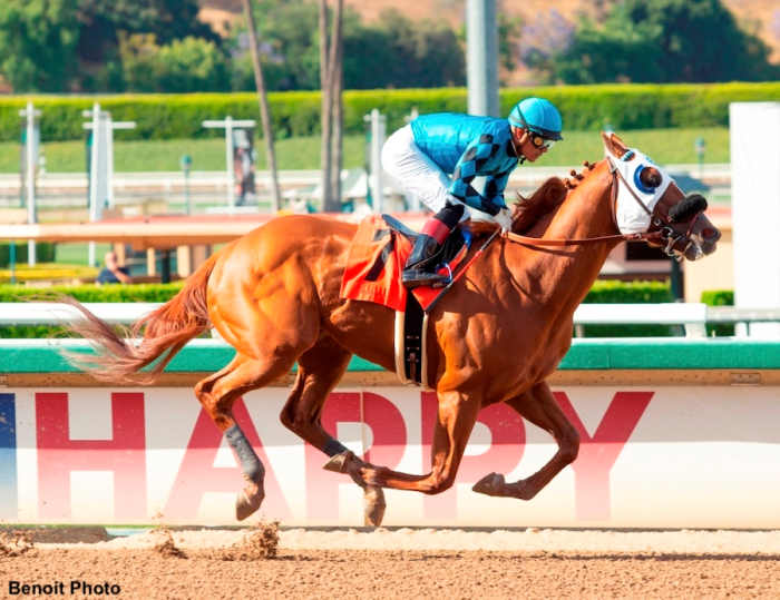 Unbeaten California Sprinter Bolden To Enter Stud At Rancho San Miguel ...