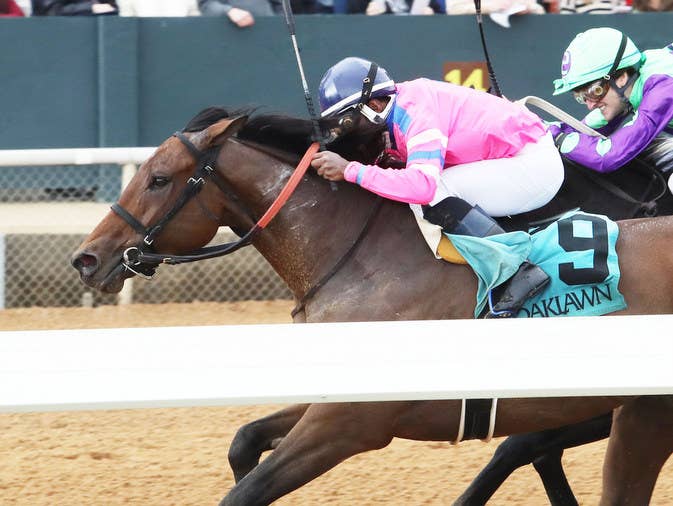 After Winning First Race Of Meet, Rocco Bowen Says He's 'Healthier ...