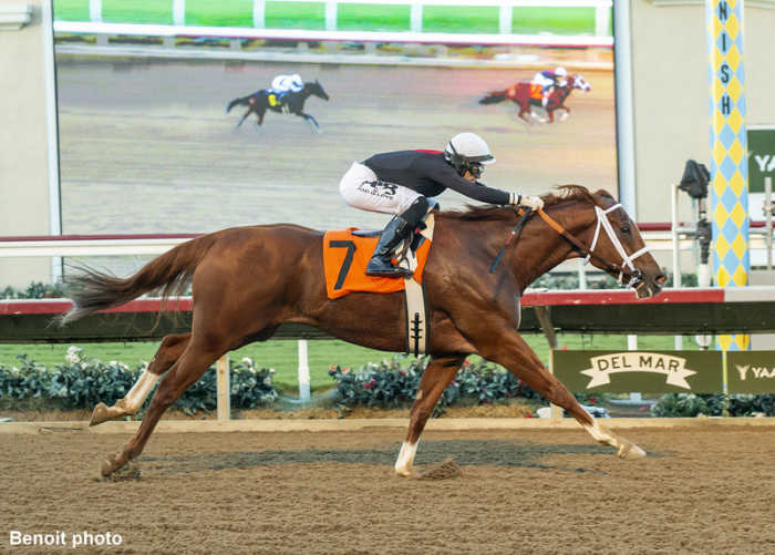 'What A Blessing This Horse Is': The Chosen Vron Wins Cary Grant Again ...