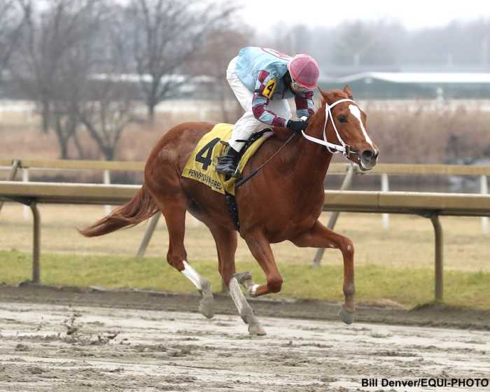 'Wondering How Good She Is': Parx Horse Of The Year Aoife's Magic Tries ...