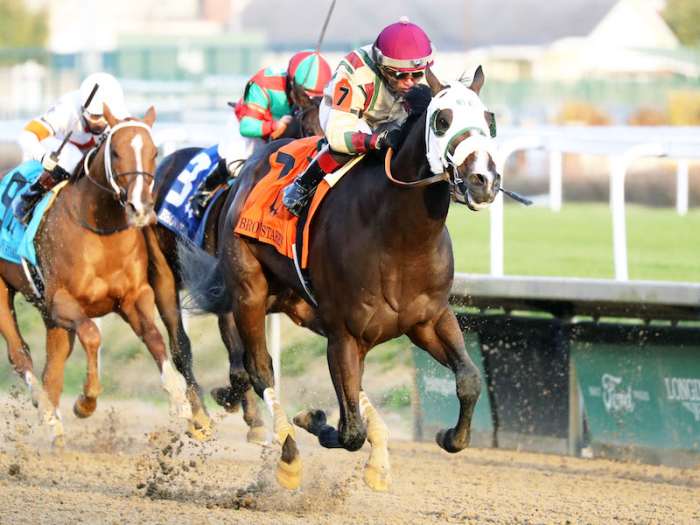 Kentucky Derby Pedigree Corner Presented By FanDuel Racing: Catalytic ...