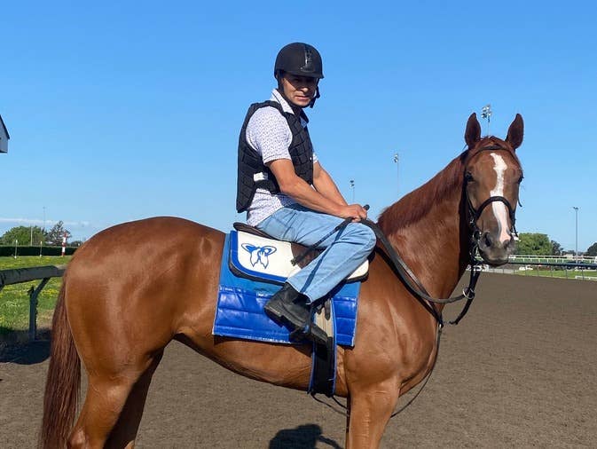 'Speechless': Trainer Harold Ladouceur Inducted Into North American ...