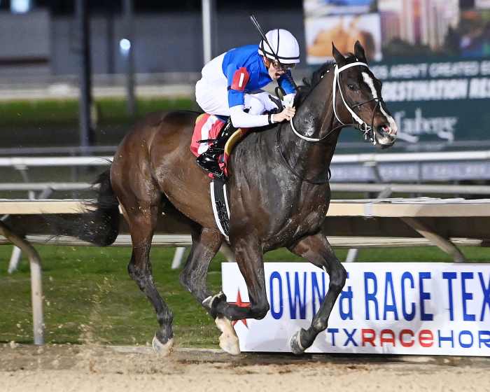 Erik Asmussen Rides First Career Winner Friday At Sam Houston - Paulick ...