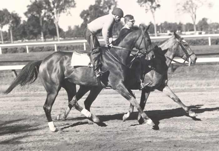 This Week In History: Damascus’ BFF Was A Pony Named Duffy - Paulick ...