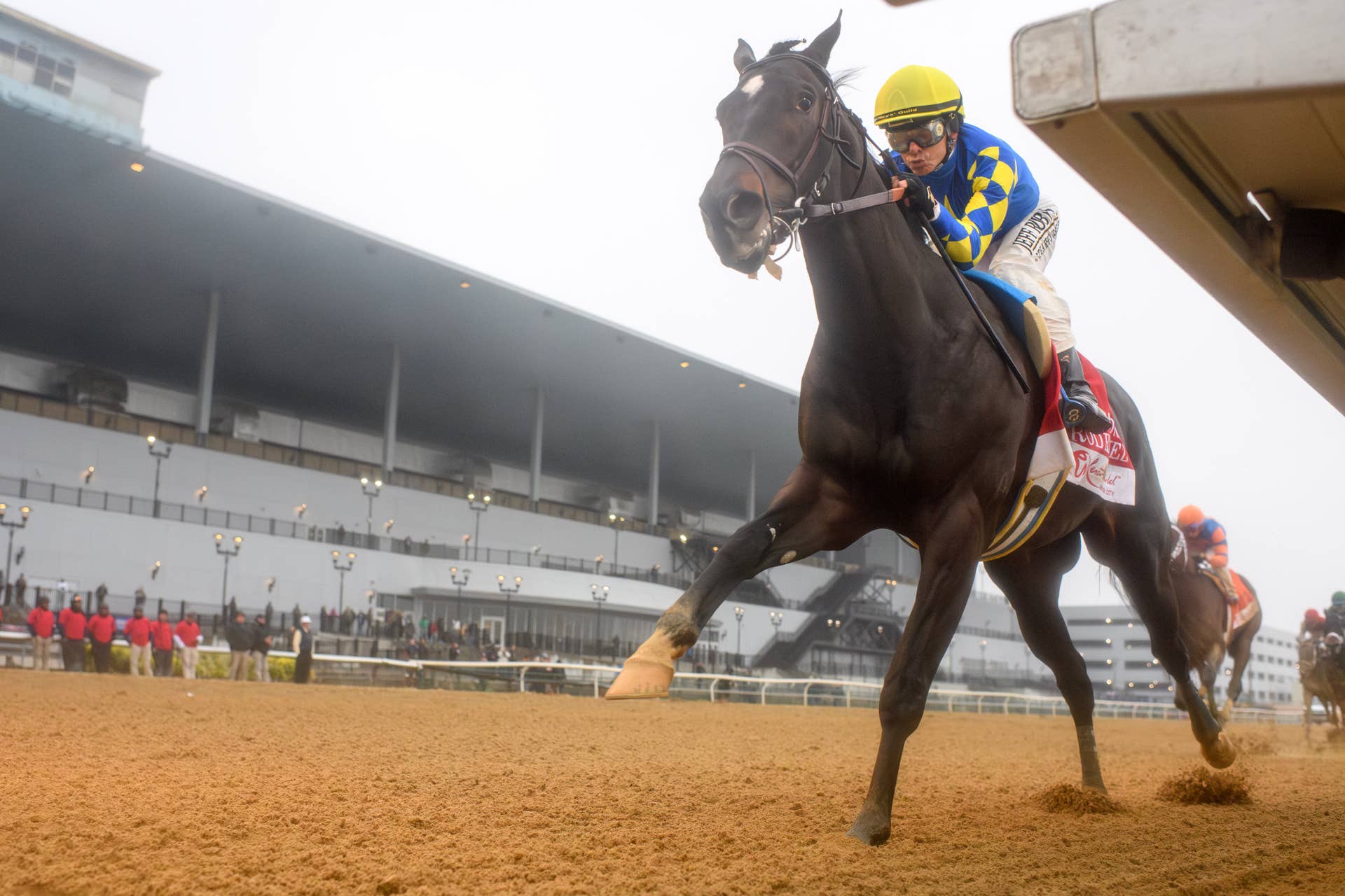 'He Wanted More': Wood Memorial Winner Rodriguez Impresses Connections ...