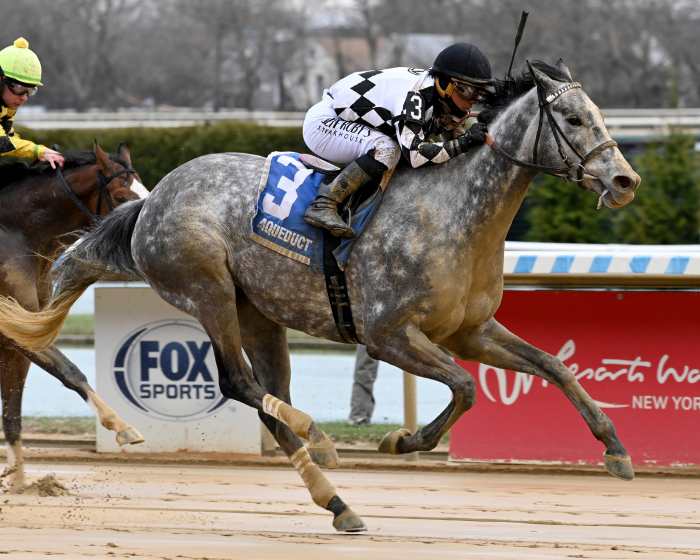Equibase Analysis: Sterling Silver Could Shine In Ruffian Stakes ...
