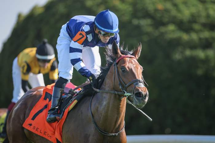 Manny Franco Rides Stakes Double As Test Score Posts 9-1 Upset In ...