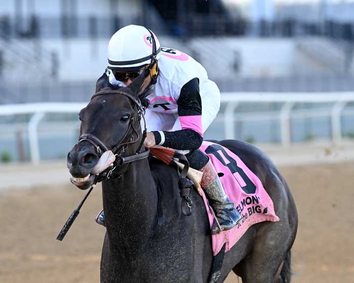 Now A ‘One-Turn’ Horse, Jody’s Pride Cuts Back In Honorable Miss ...