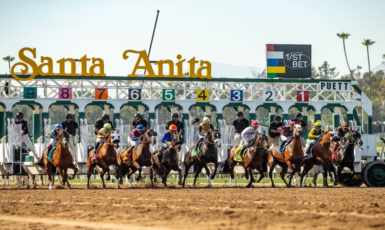 Seven Breeders’ Cup Challenge Races Lead Autumn Stakes Schedule At ...