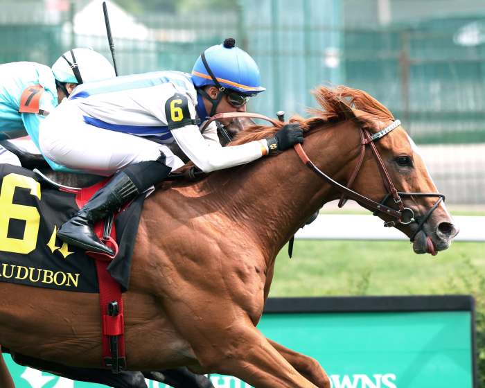 'More Of A Grinder': Grade 1 Winner World Beater Seeks Another Derby Score In Old Dominion ...