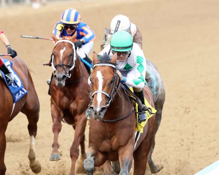 Mystik Dan Returns To Winner's Circle With Blame Victory - Paulick ...