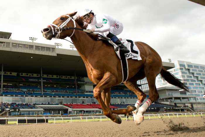 Canadian Champion Caitlinhergrtness Starts 2025 With Belle Mahone ...