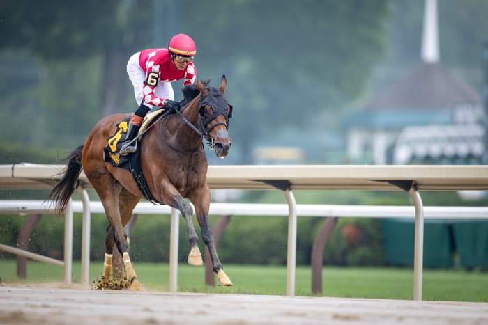 Nitrogen Romps In Off-Turf Wonder Again For Fifth Straight Win ...