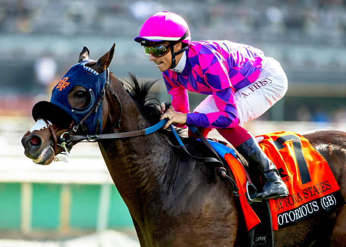 Motorious To Take Similar Path To Breeders' Cup As Last Year - Paulick ...