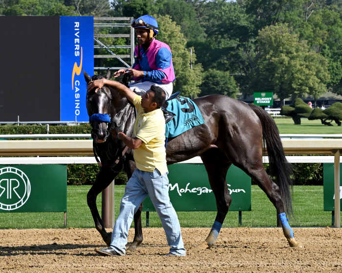 Future Looking A Bit More 'Rosy' For New York Trainer Domenick Schettino - Paulick Report ...