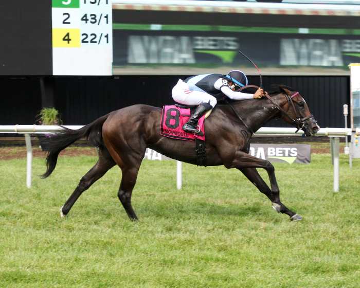 Favorite Roja Kicks Clear In Blue Sparkler For Stakes Breakthrough ...