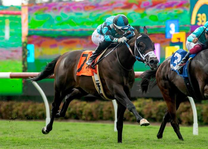 Game Warrior Upsets Del Mar's Opening Day Oceanside - Paulick Report ...