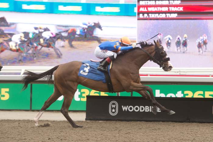 Boca Queen 'Impressed' Kevin Attard In First Start, Now Tries Stakes ...