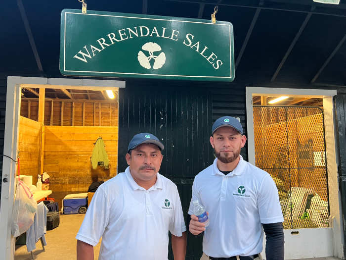 'I Enjoy Being Around Horses': Meet The Showmen Behind Warrendale Sales ...