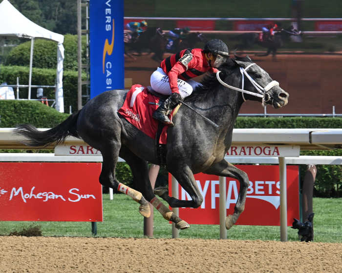 Last-To-First Debut Winner Aye Eye Takes On Stakes Company In Hopeful ...