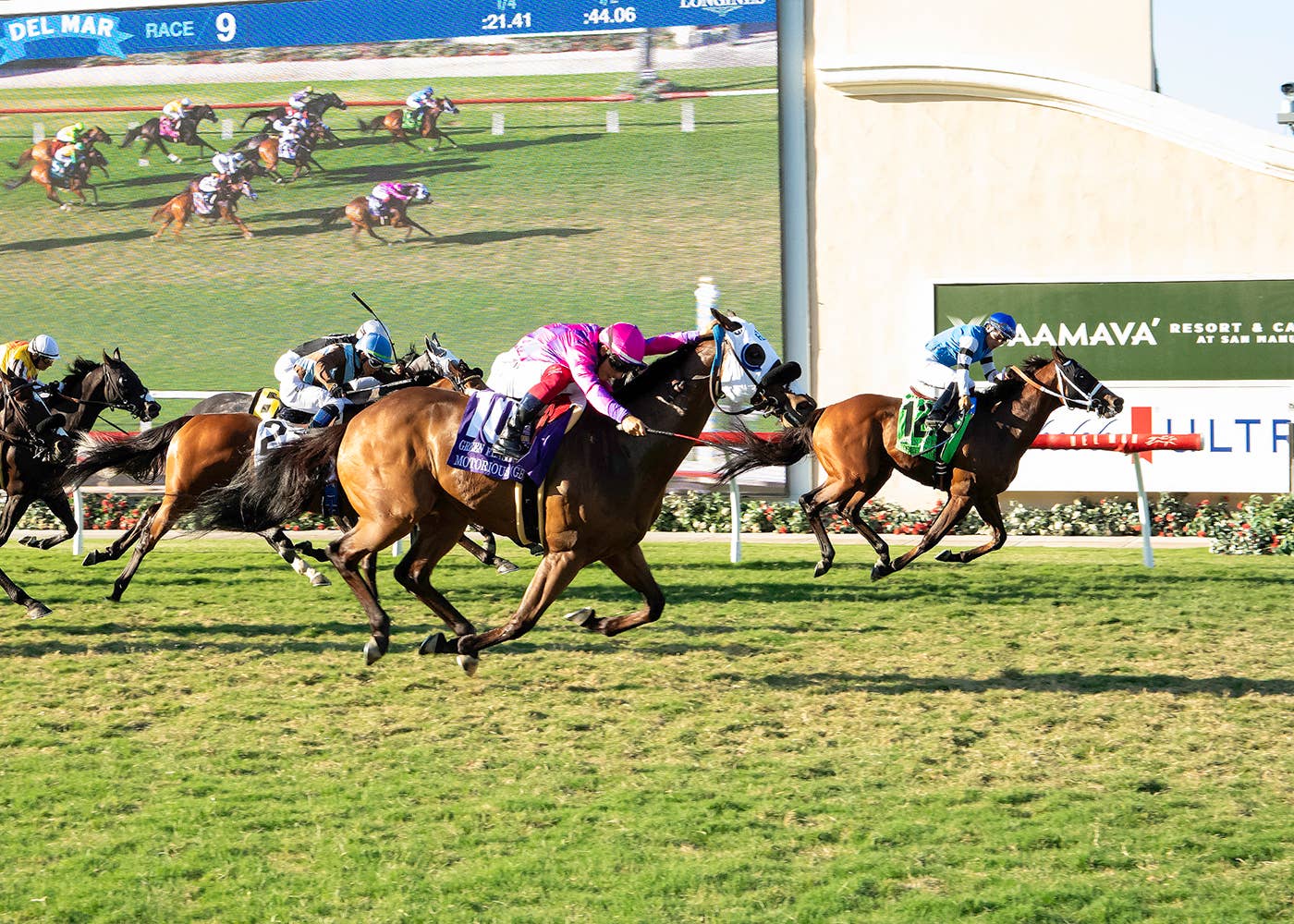 Disqualification Of Reef Runner Gives Motorious Green Flash Handicap ...