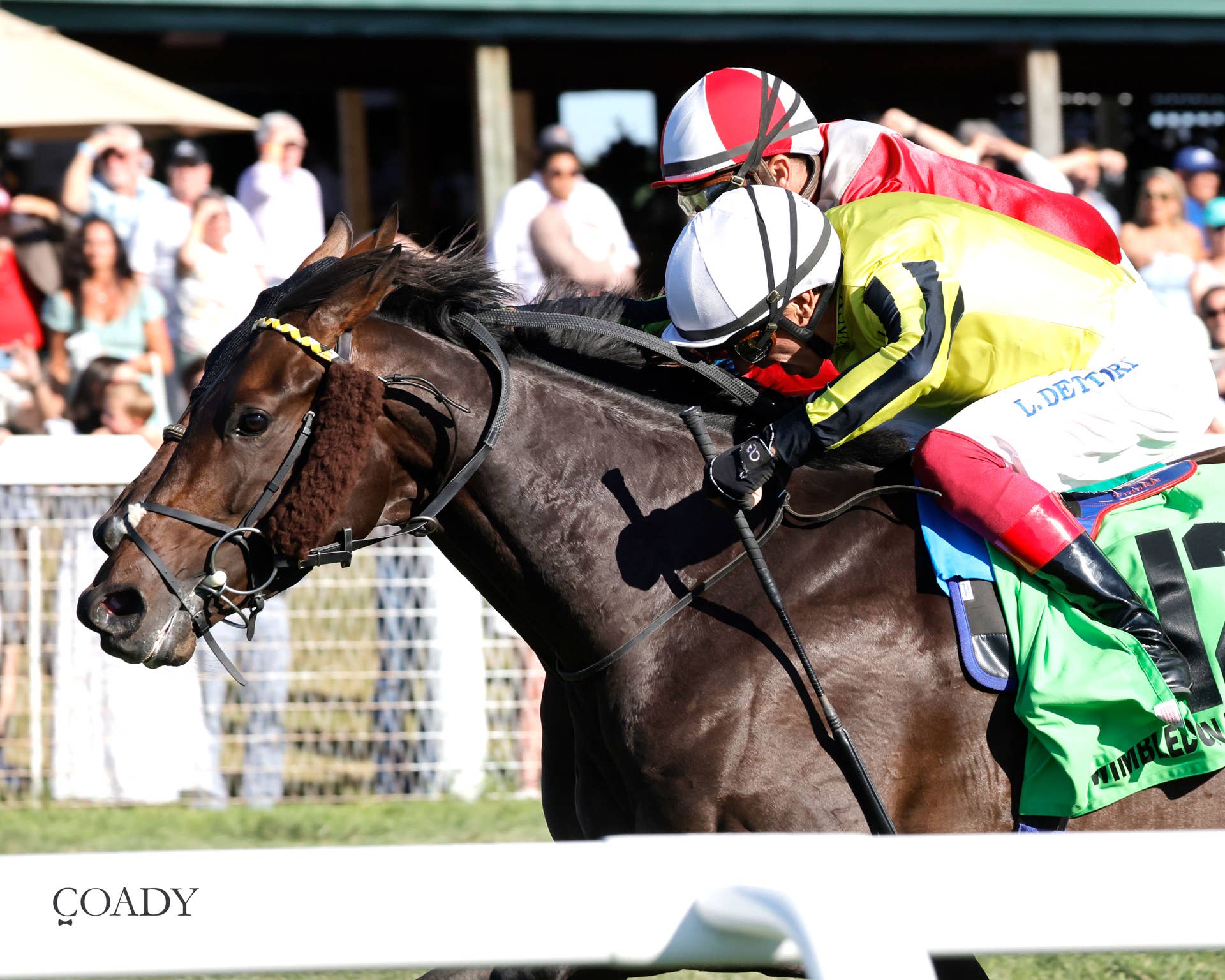 Breeders' Cup Among Options For Nashville Derby Winner Wimbledon ...