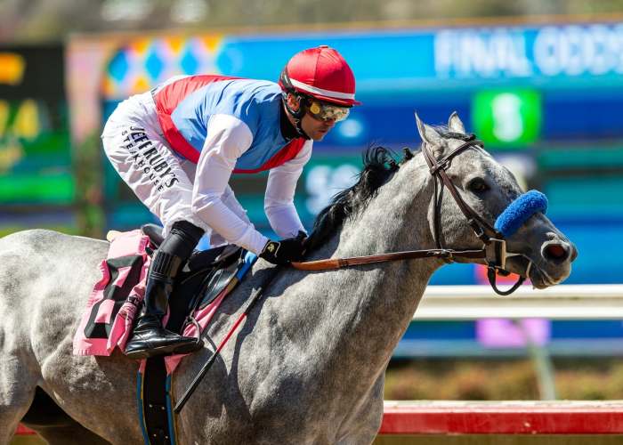 $3 Million Brant Leads Baffert Quartet In Closing-Day Del Mar Futurity ...