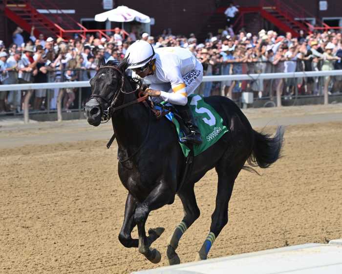 Tom Amoss Points 17-Length Debut Winner It’s Our Time To Champagne ...