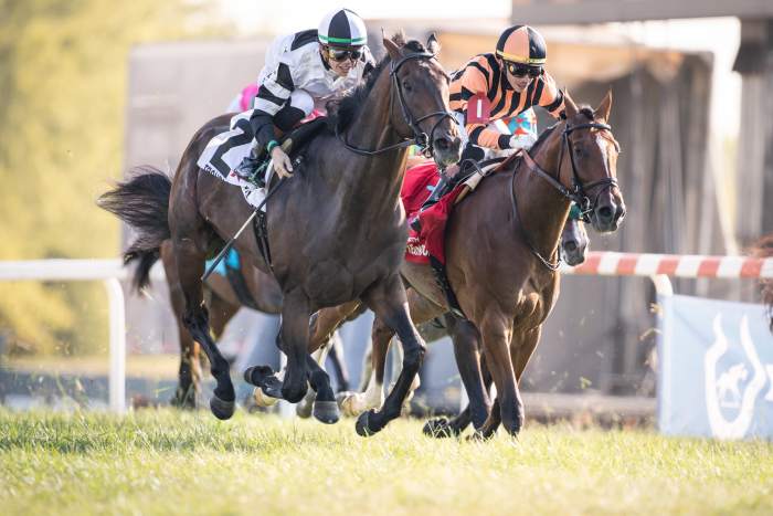 Troubleshooting Delivers First Grade 1 Win For Trainer Greg Foley In ...