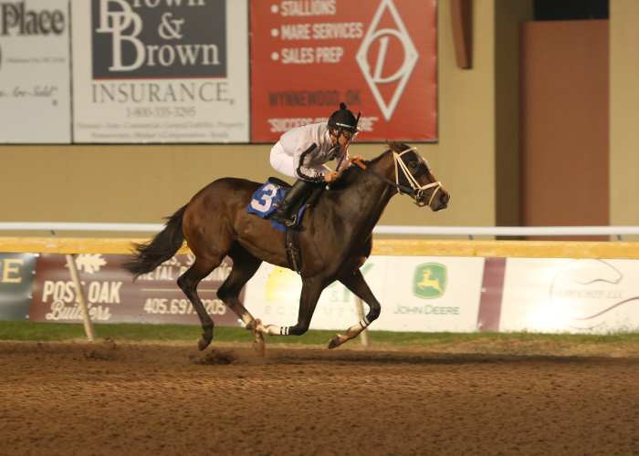 'He Has So Much Heart': Gelding Mauled By Bobcat As Foal Breaks Maiden ...