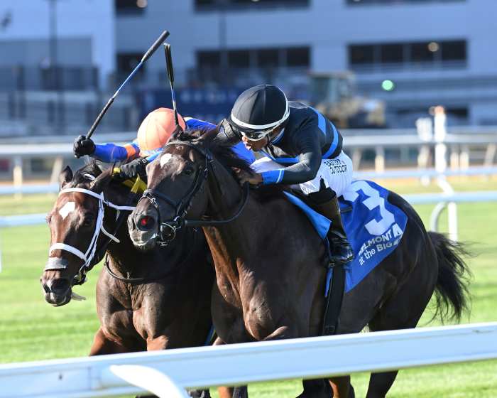 Philip Antonacci Eyes Graded Double With Ready For Candy In Sands Point - Paulick Report ...