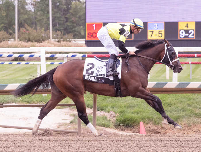 Maida Scores Front-Running Romp In Weather Vane - Paulick Report ...